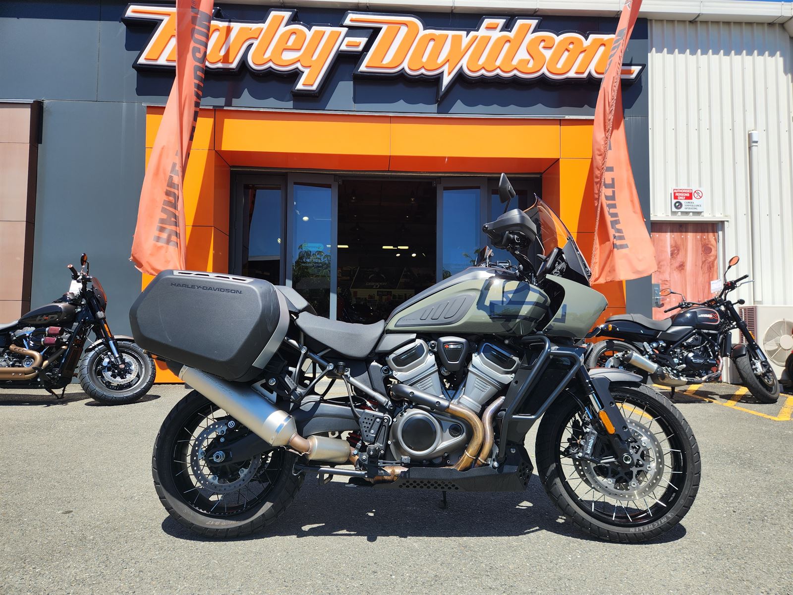 Harley-Davidson Pan America 1250 Special 2021 - The best site for ...