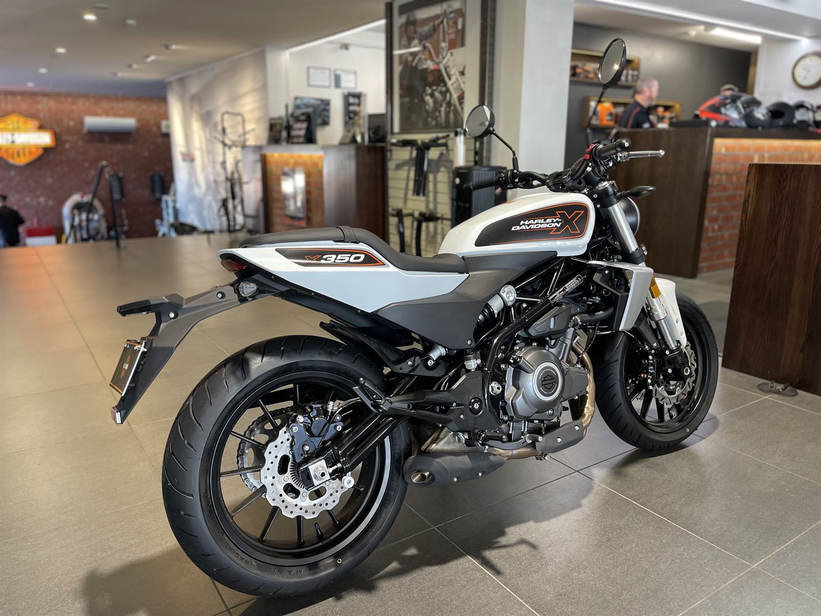 Harley-Davidson X350 2024 - Waikato's largest motorcycle dealership | Road and Sport Harley ...