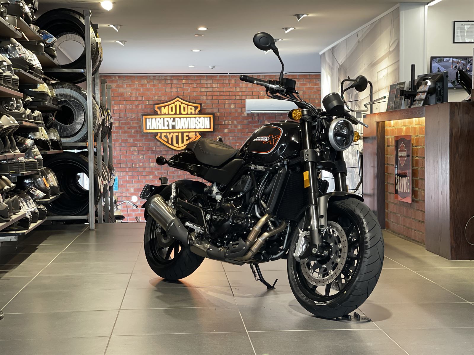 Harley-Davidson X500 2024 - Waikato's largest motorcycle dealership ...