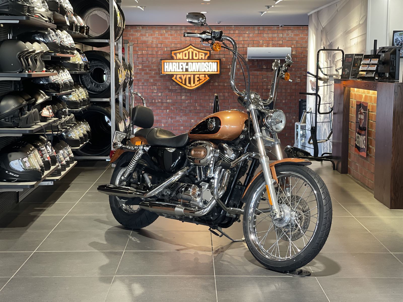 Harley Davidson Sportster 1200 Custom 2008 - Waikato's largest ...