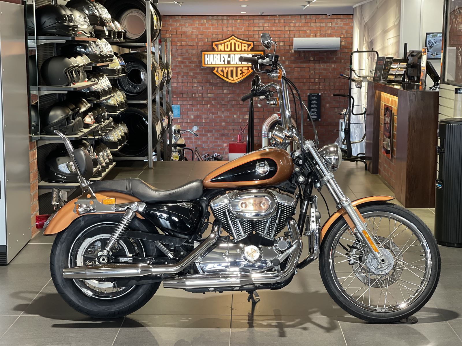 Harley Davidson Sportster 1200 Custom 2008 - Waikato's largest ...