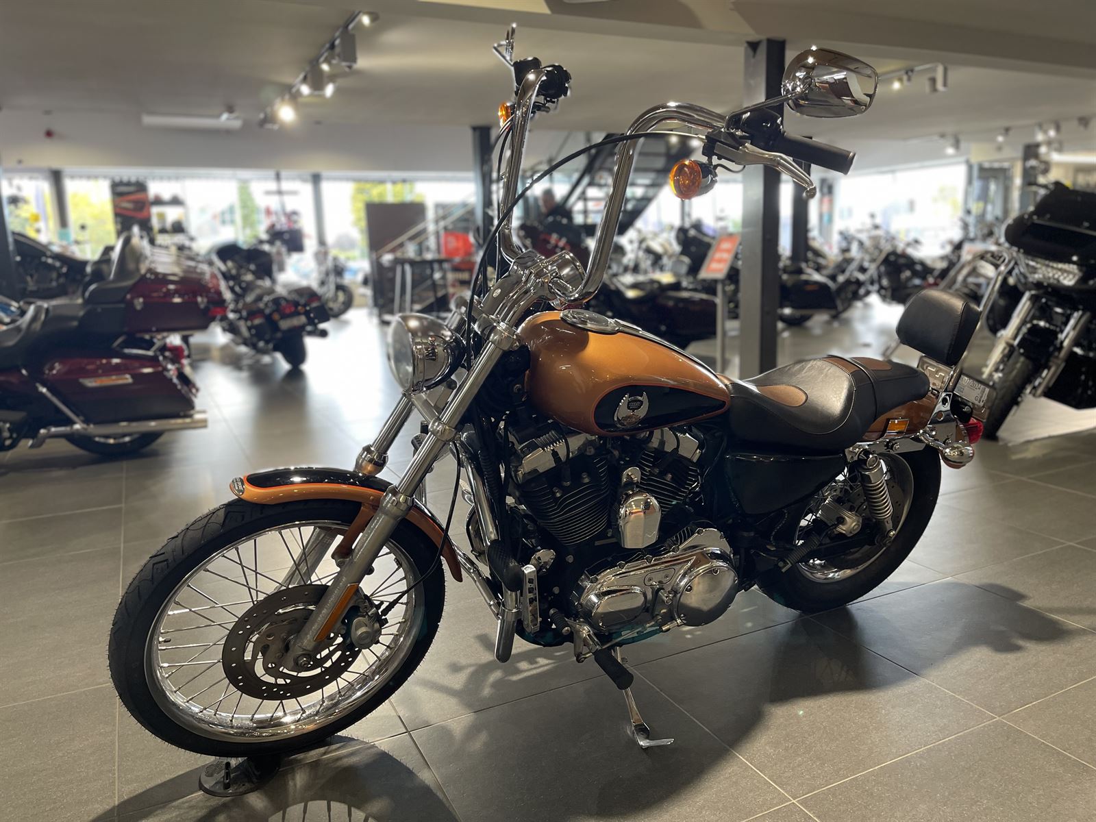 Harley Davidson Sportster 1200 Custom 2008 - Waikato's largest ...