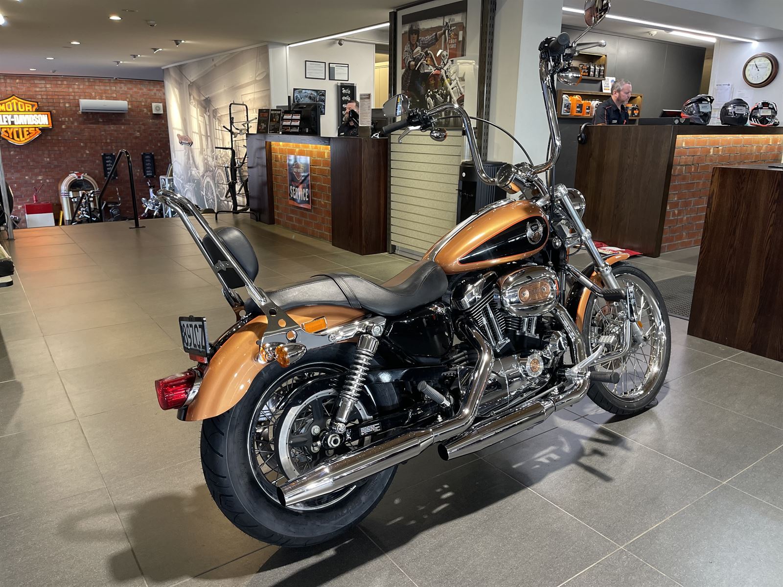 Harley Davidson Sportster 1200 Custom 2008 - Waikato's largest ...