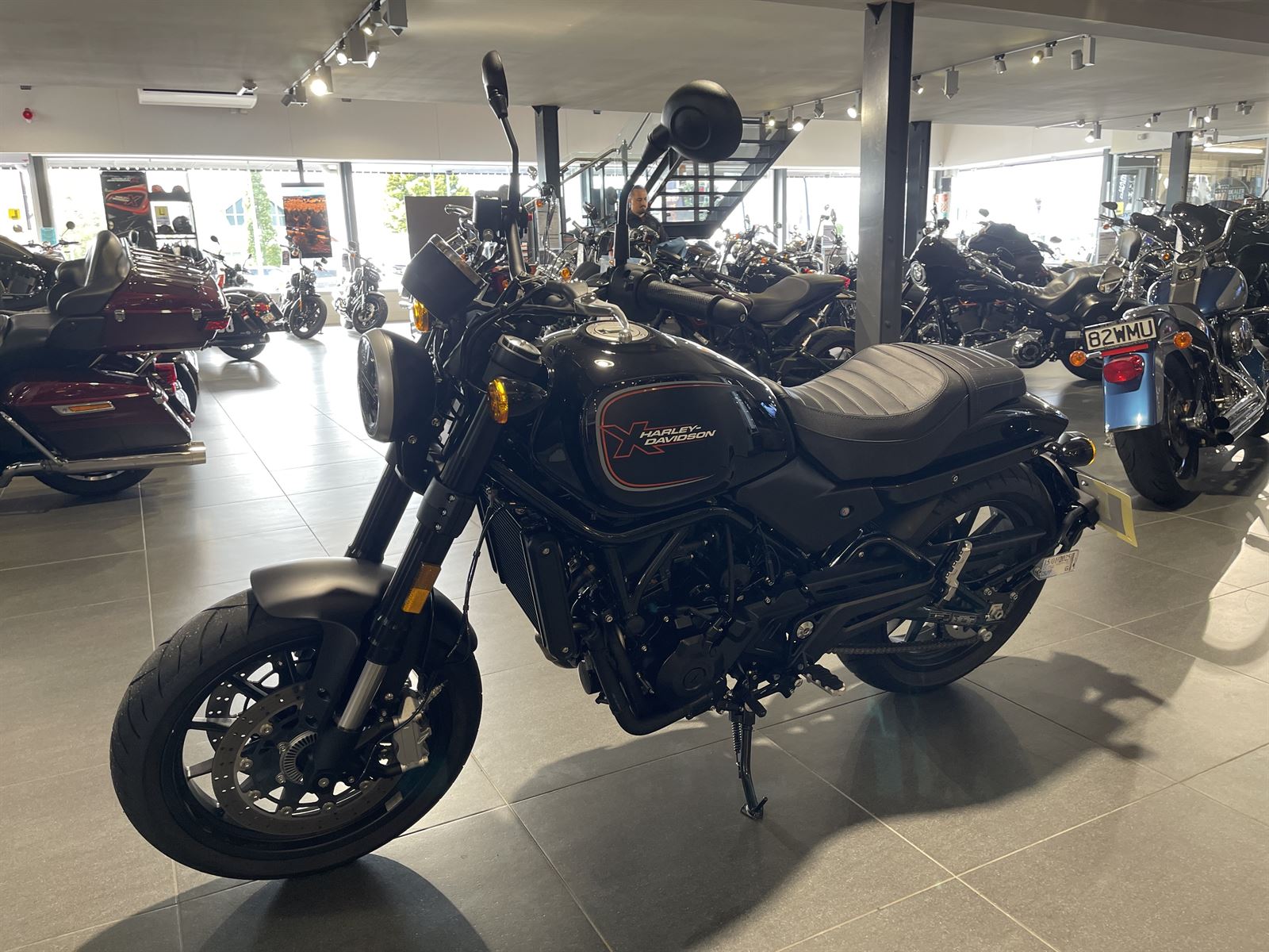 Harley-Davidson X500 2024 - Waikato's largest motorcycle dealership ...